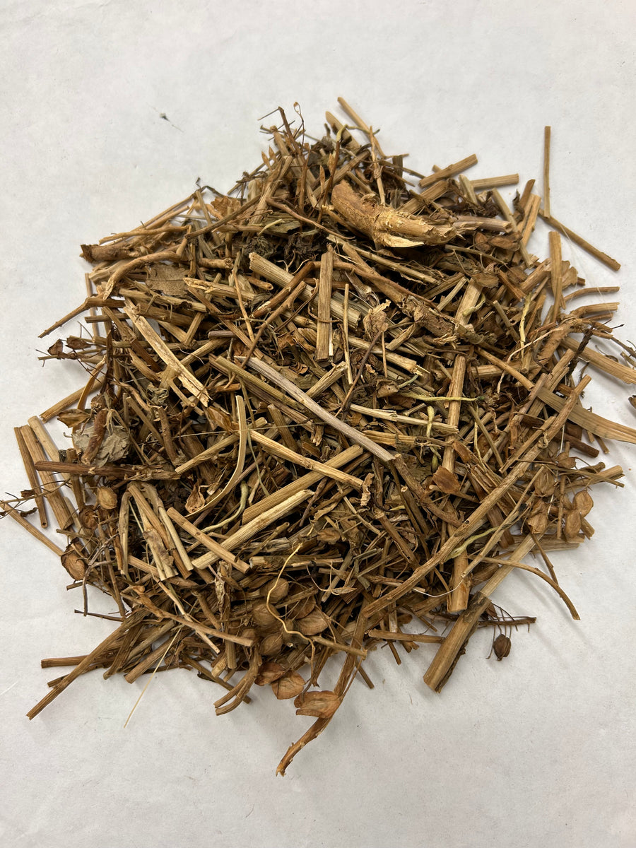 Bai Jiang Cao (Patrinia, Herba Patriniae, 败酱草) – The Herb Depot