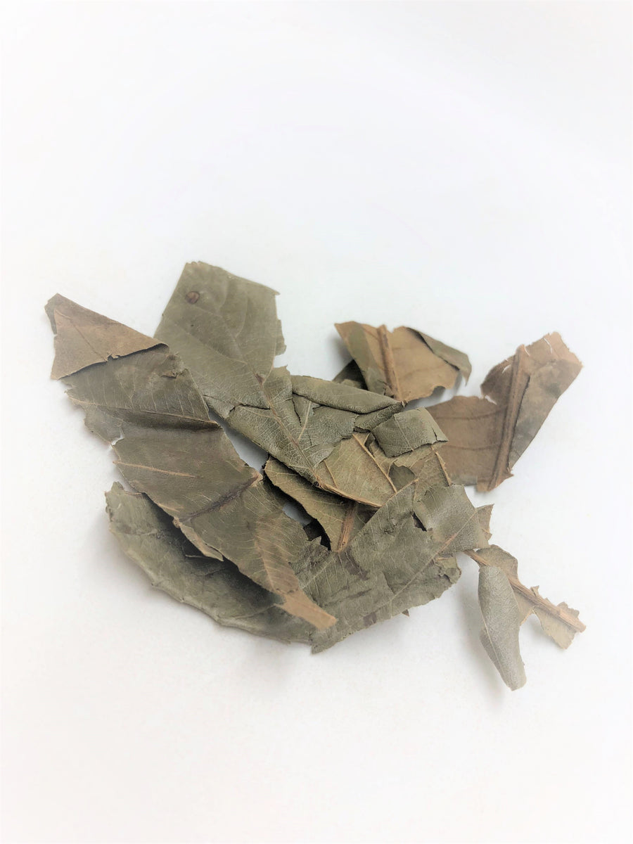 Pi Pa Ye (Loquat Leaf, Folium Eriobotryae, 枇杷叶) - Chinese Herbs - Bulk ...
