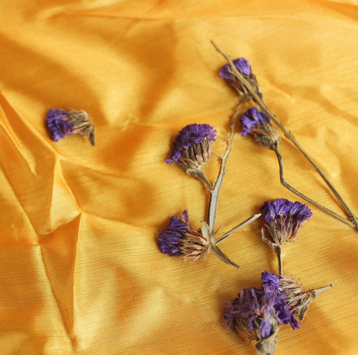 Package Free Forget-Me-Not Flower Tea - NATURAL CODE Package Free ...