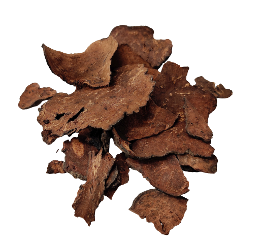 He Shou Wu (Processed Fleeceflower Root, Radix Polygoni Multiflori ...