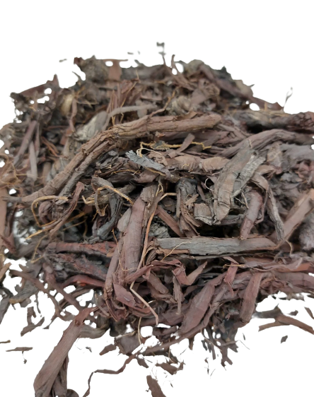 Zi Cao - Redroot Gromwell Root - Radix Arnebiae - 紫草 - Lithospermum ...